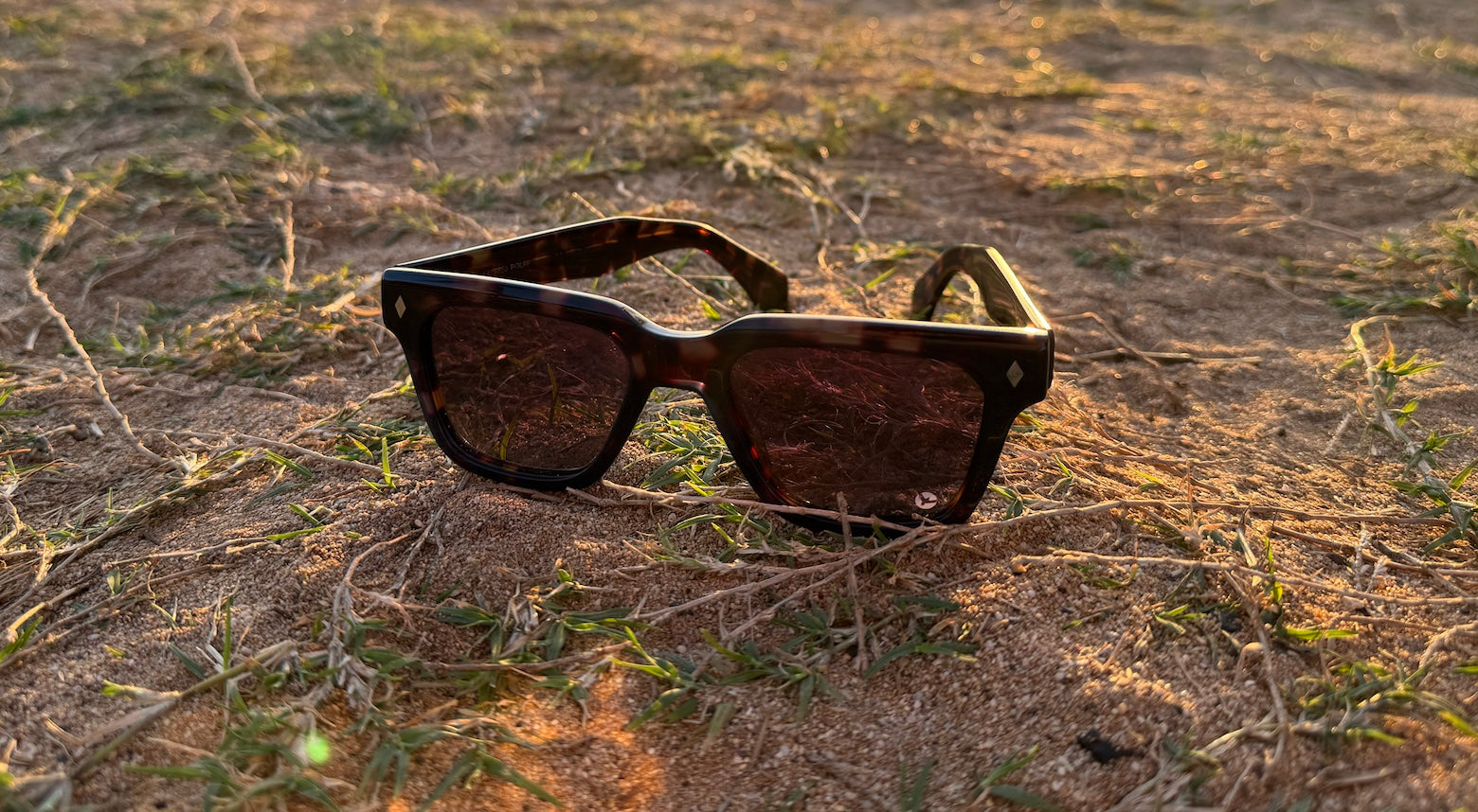 Milosport Snow & Skate