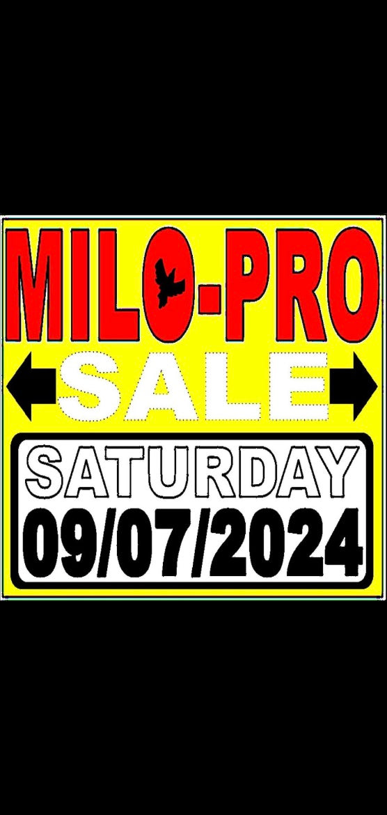 MILO Snowboard and Skateboard Shop – M I L O S P O R T